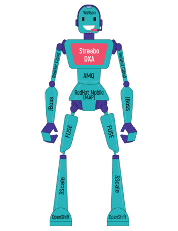 FAQ – IBM Cloud | Streebo Inc